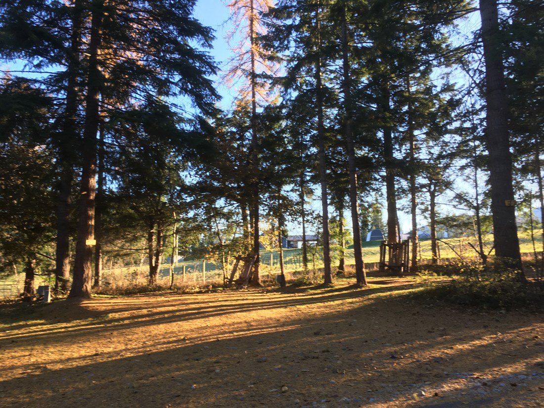Galleries – Salmon Arm Camping Resort