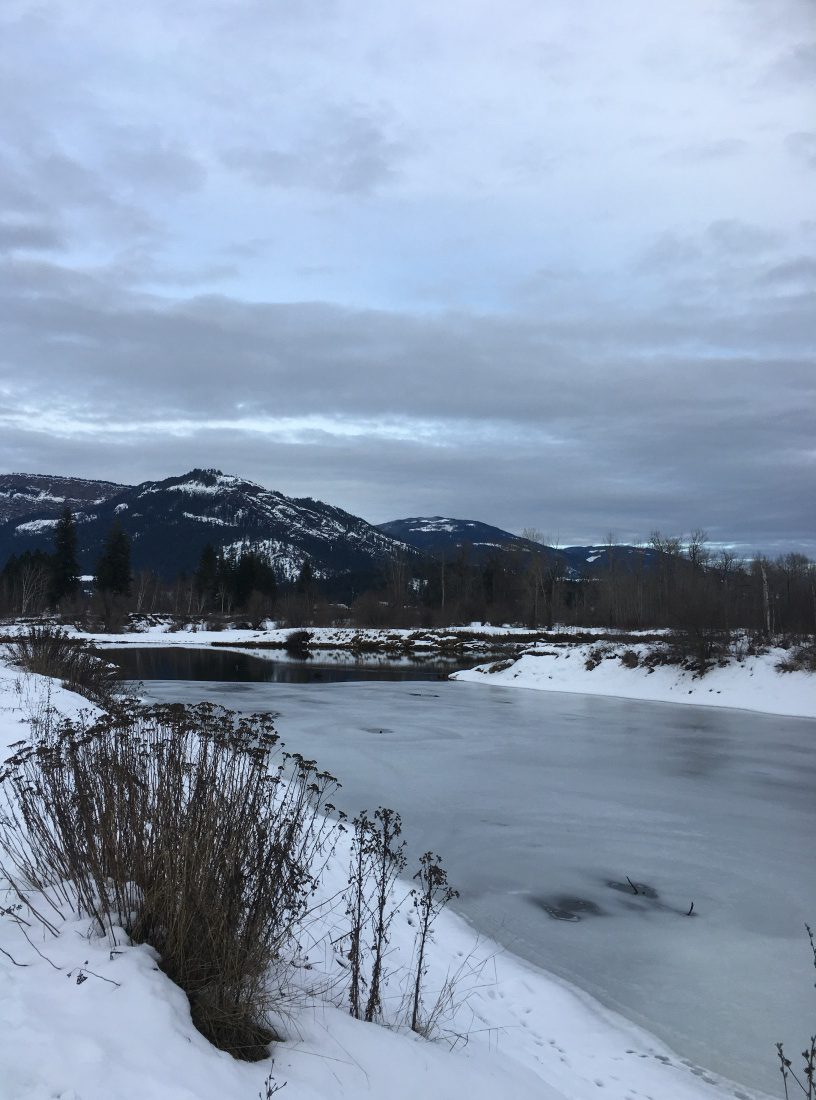 Galleries – Salmon Arm Camping Resort